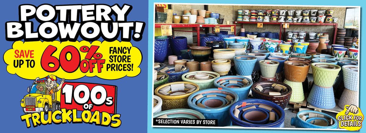Ollie's | Get Good Stuff Cheap | Discount Store